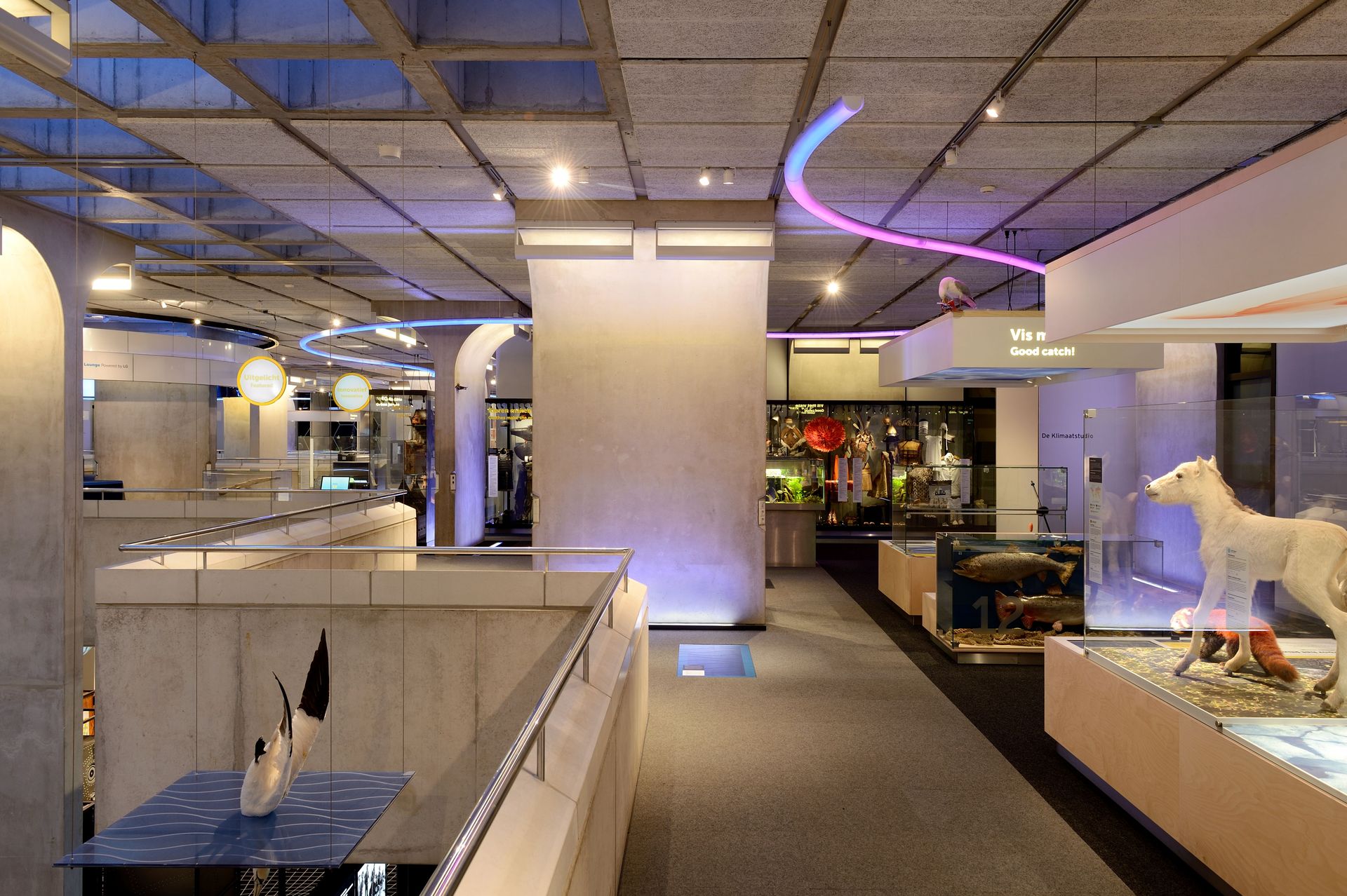 Museum & Gallery Lighting Projects