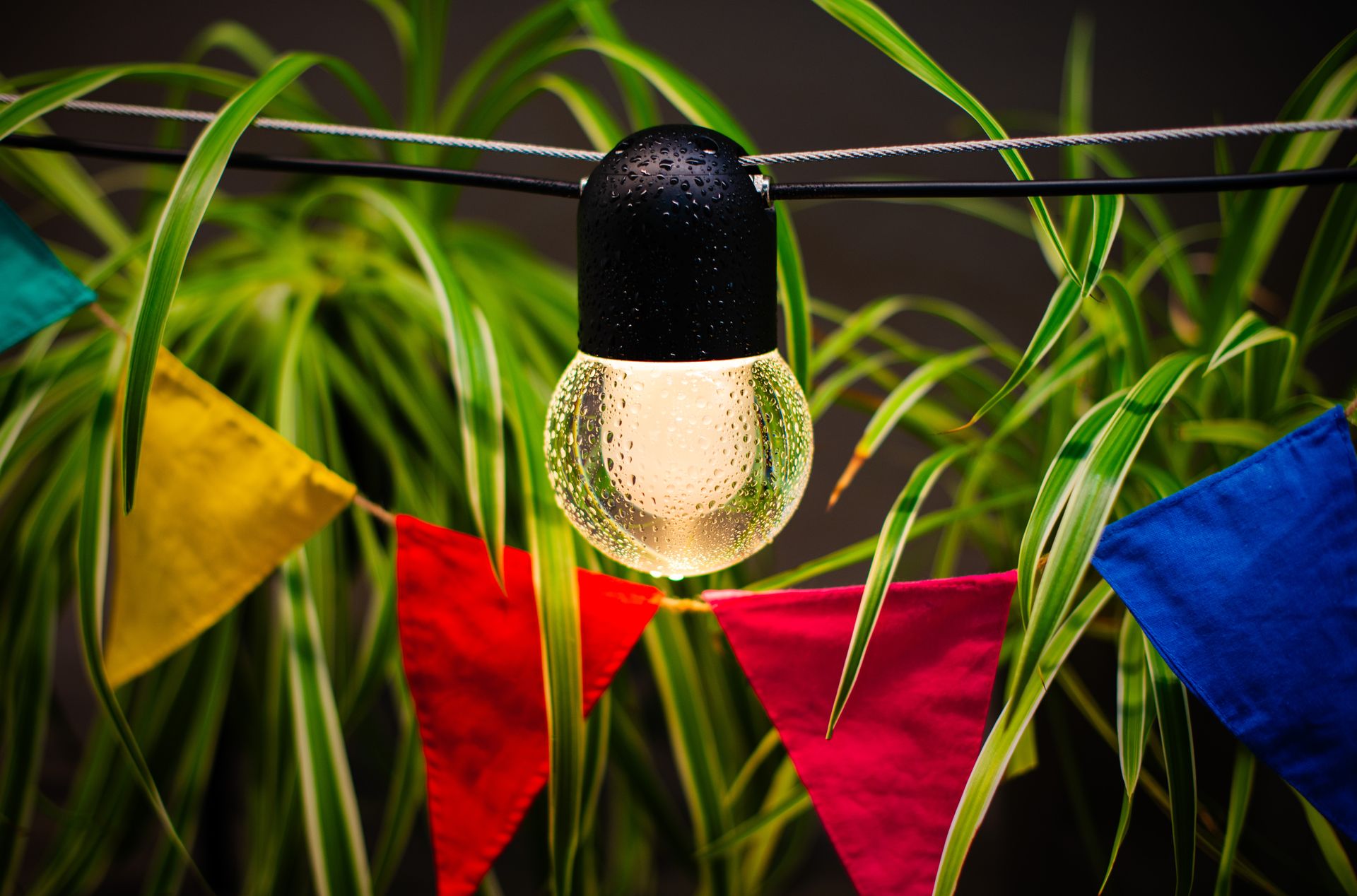 Case Study: Studio Frantzén, Harrods, London